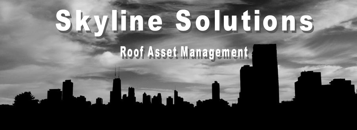 Home - Skyline Solutions RAM